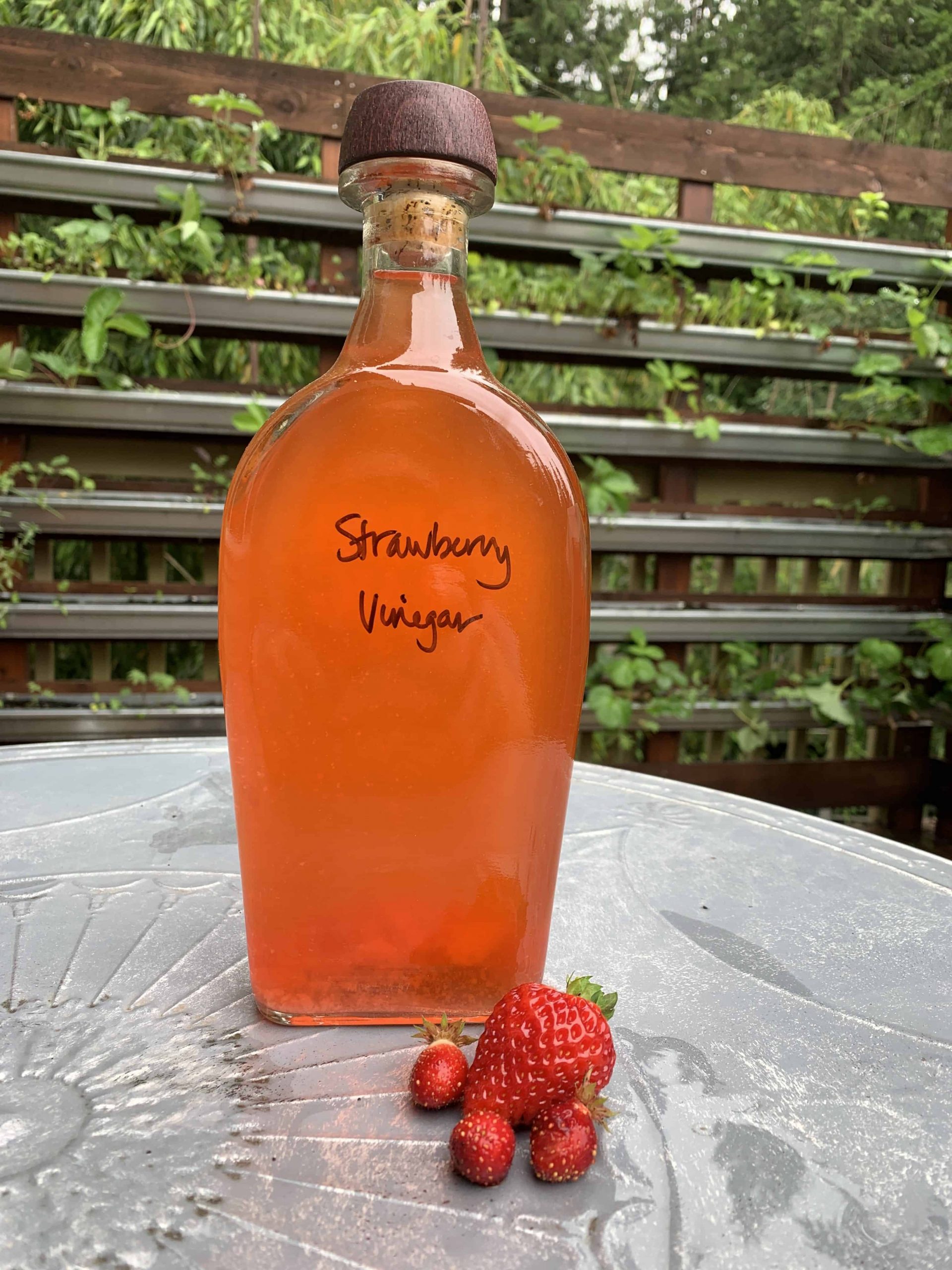 A Berry Good Vinegar - Trimazing