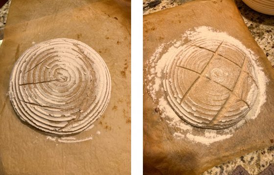 Whole Wheat Sourdough Bread - Trimazing